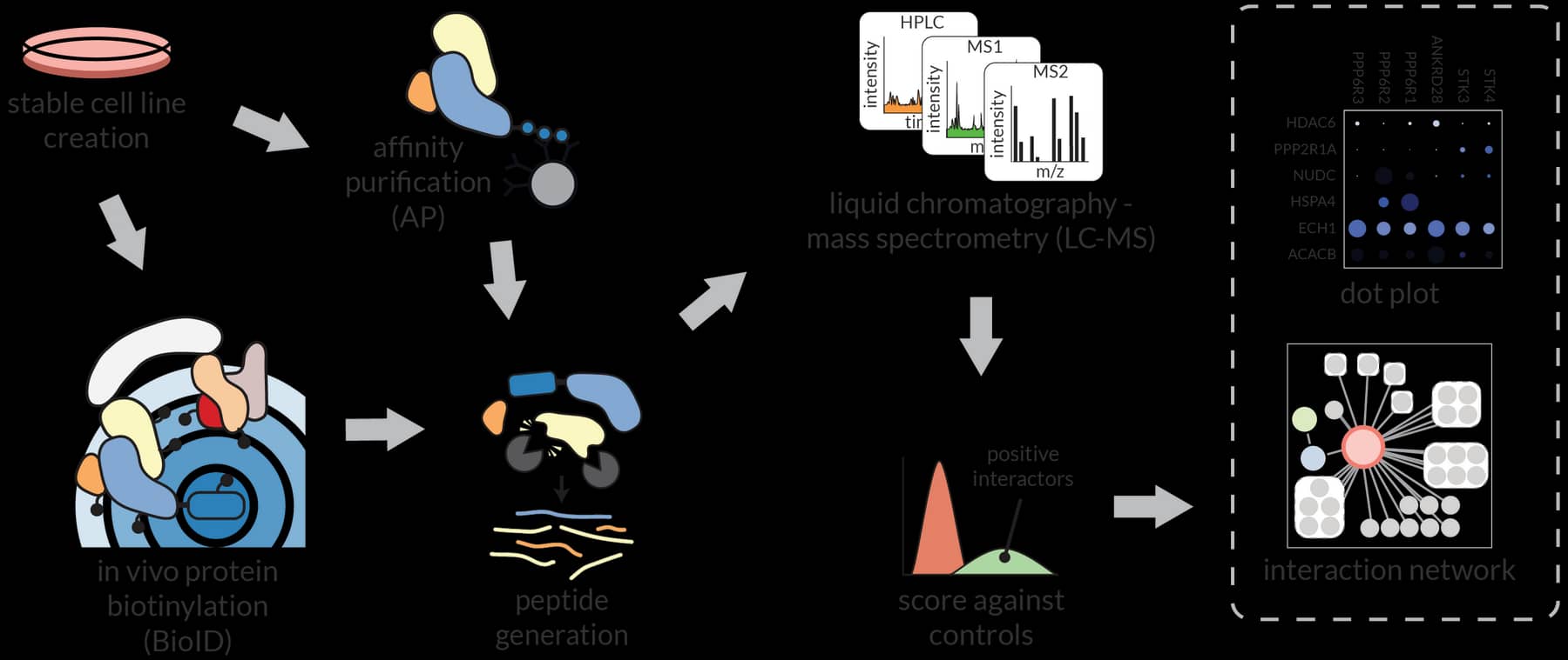 Gingras lab | Research