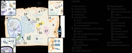 Gingras lab | Research