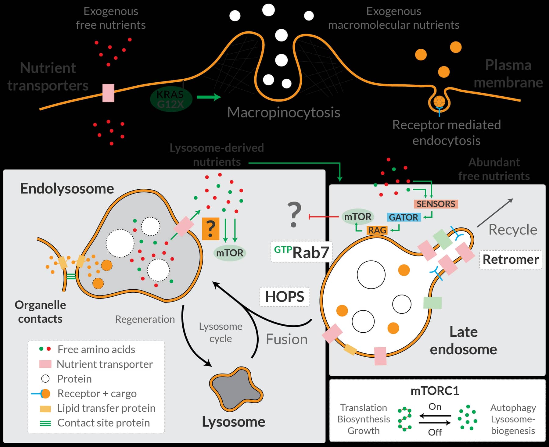 Gingras lab | Research