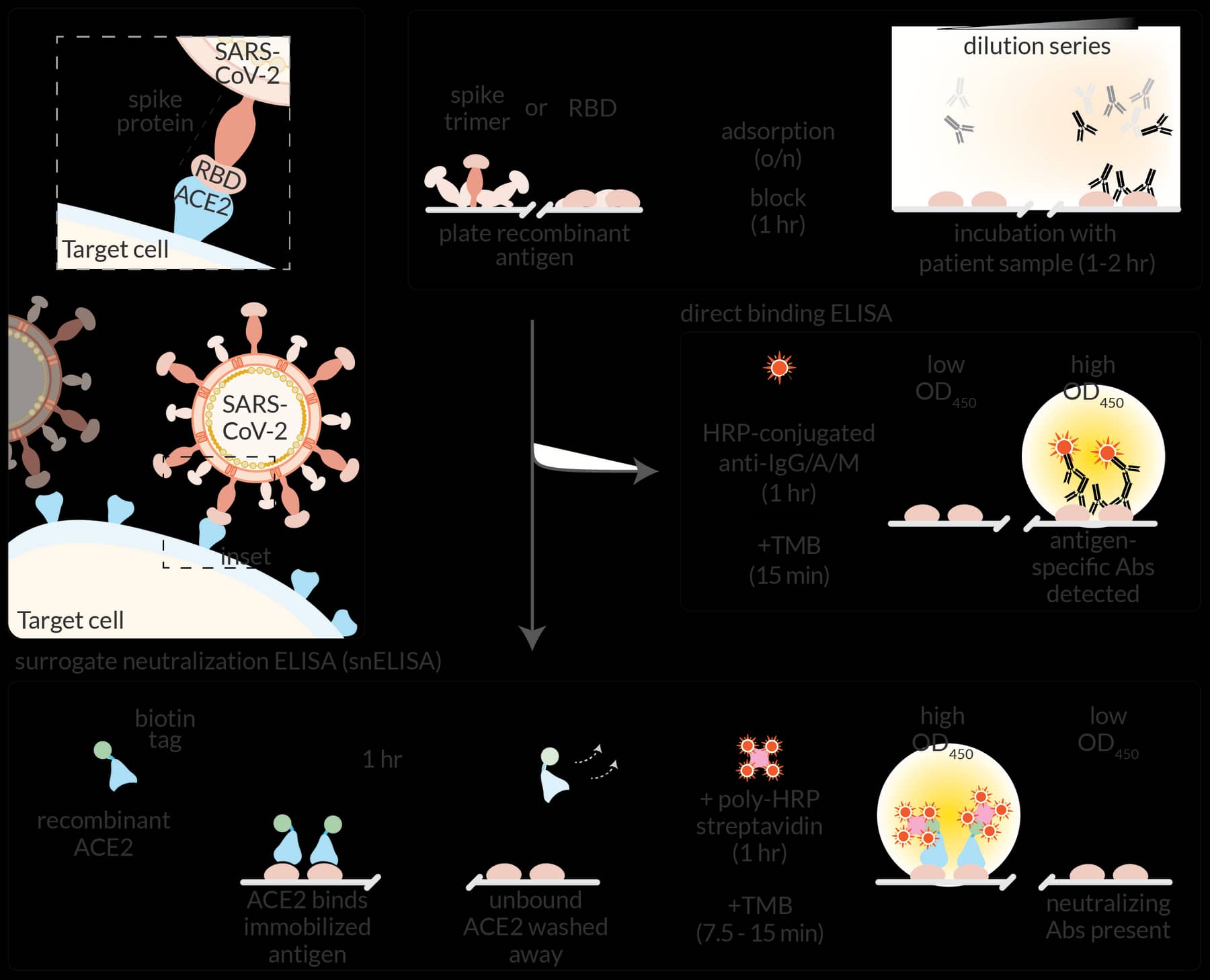 Gingras lab | Research